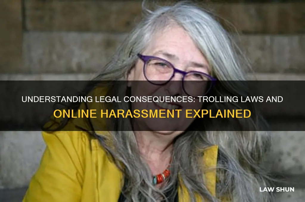 Understanding Legal Consequences: Trolling Laws And Online Harassment ...