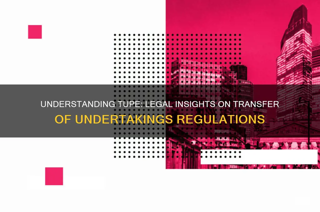 Understanding Tupe: Legal Insights On Transfer Of Undertakings ...