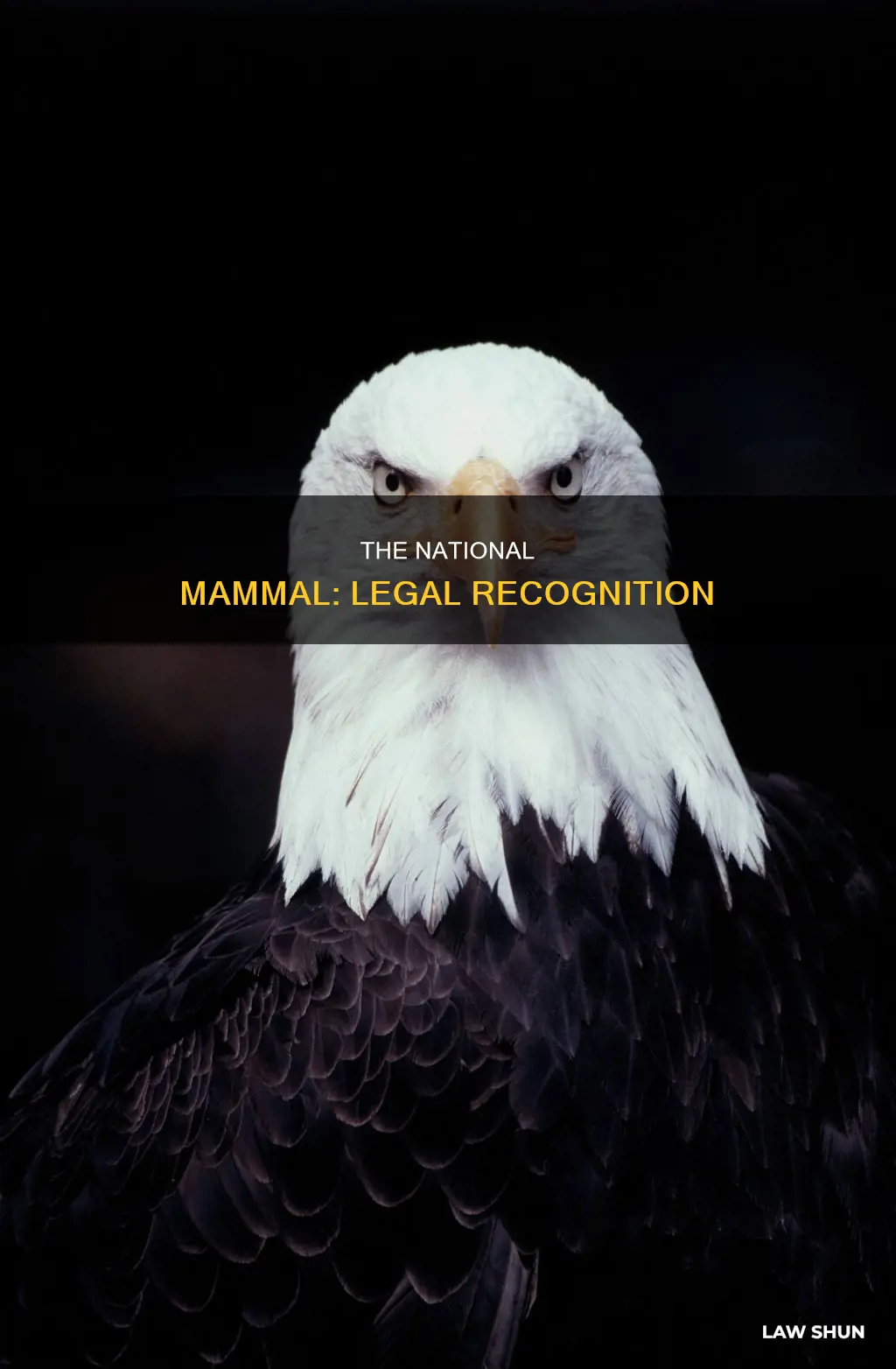 The National Mammal: Legal Recognition | LawShun