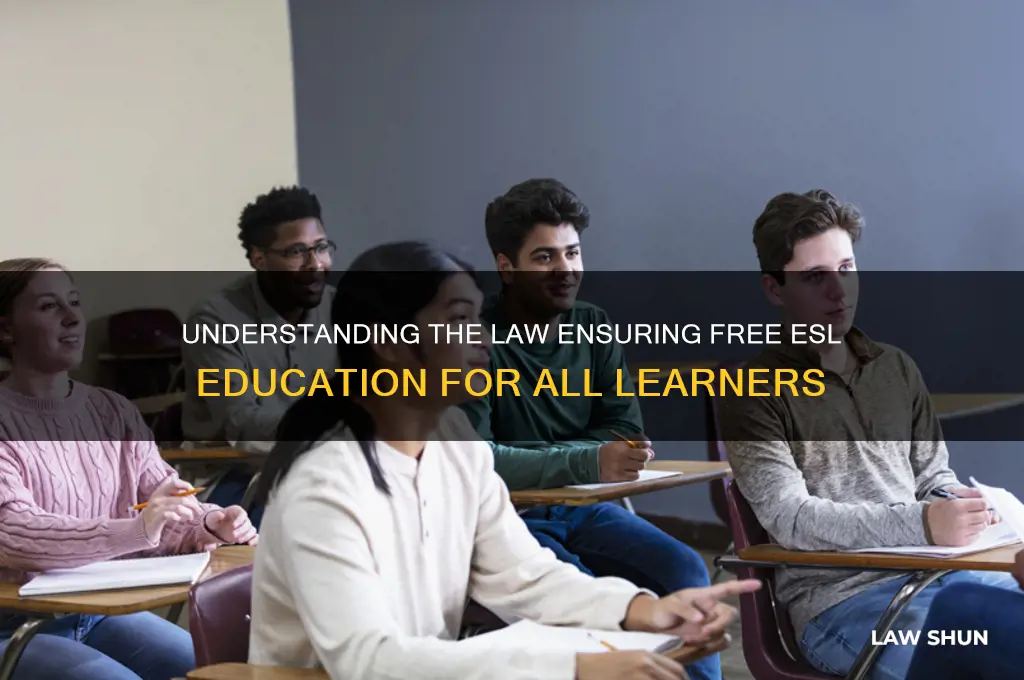 Understanding The Law Ensuring Free Esl Education For All Learners ...