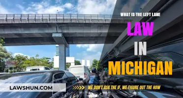 Understanding Michigan's Layoff Laws: Rights And Protections For ...