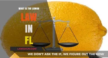 Understanding The Lemon Test: A Key Legal Standard In Religion Cases ...