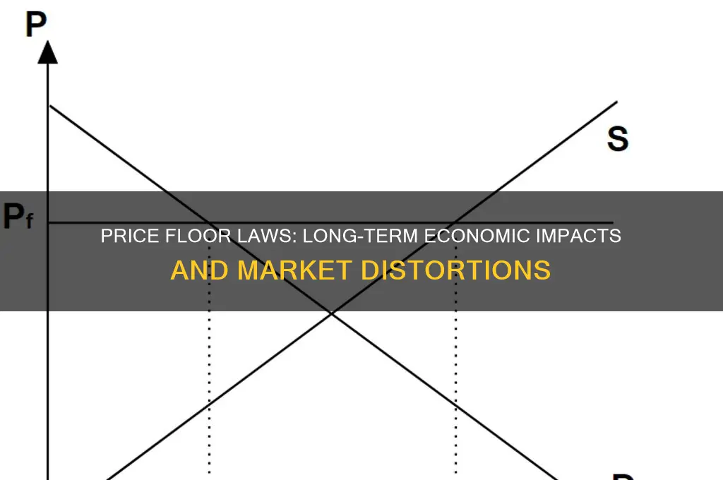 Price Floor Laws: Long-Term Economic Impacts And Market Distortions ...