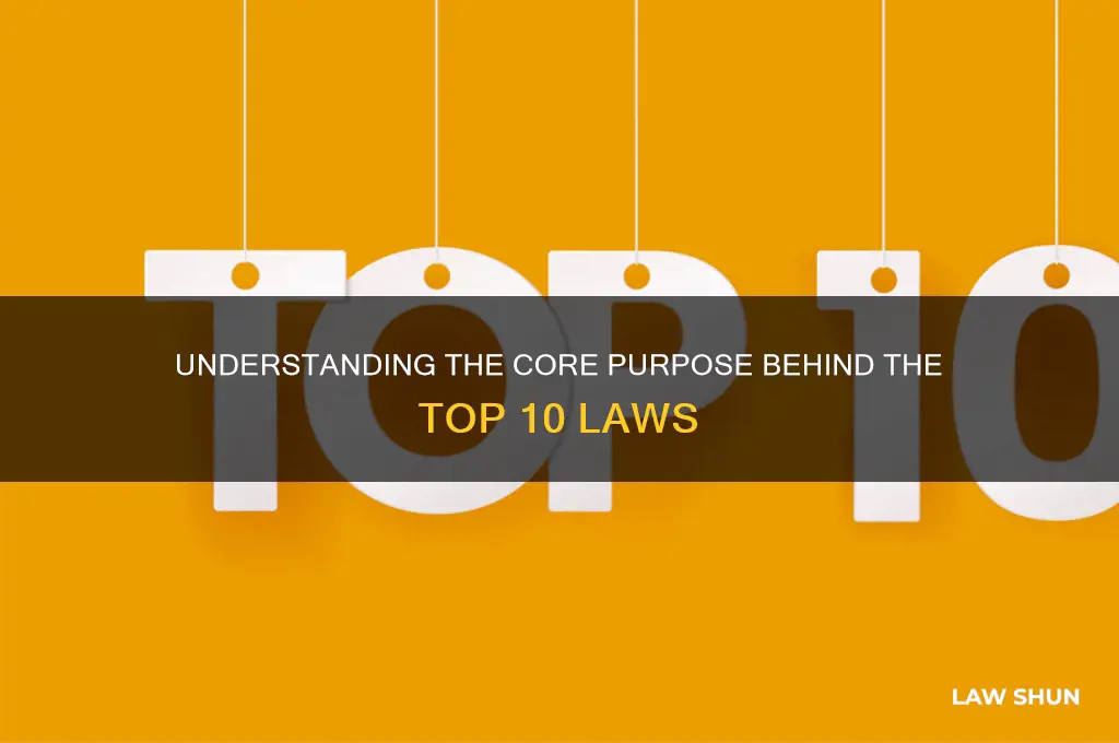 Understanding The Core Purpose Behind The Top 10 Laws | LawShun