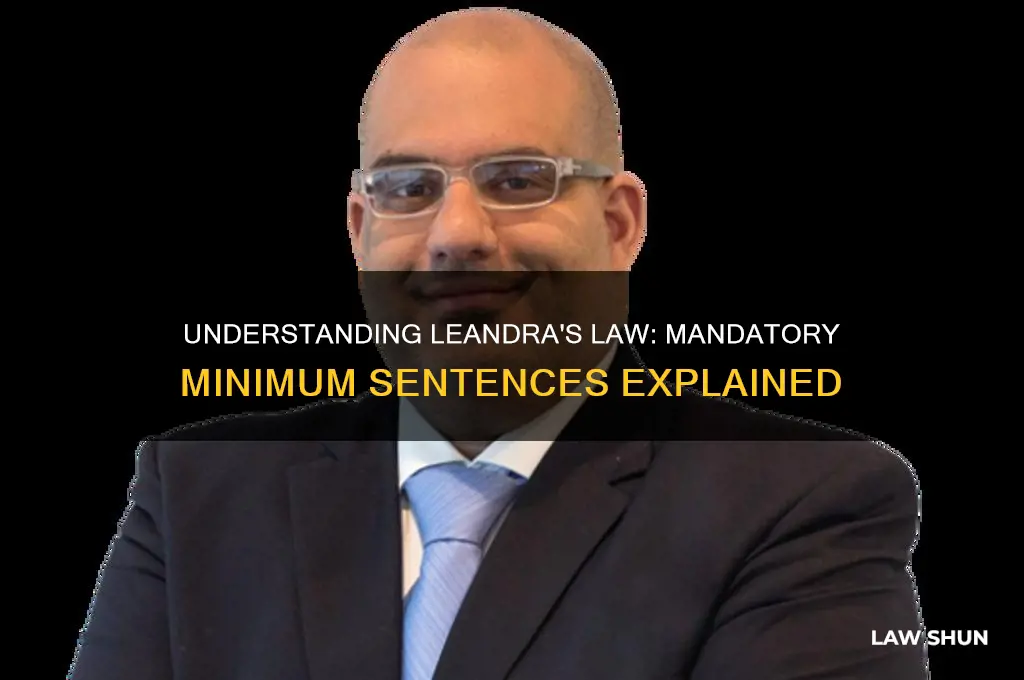 Understanding Leandra's Law: Mandatory Minimum Sentences Explained ...