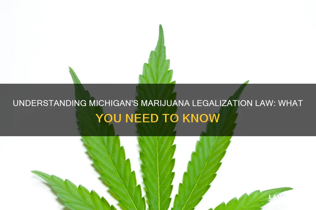 Understanding Michigan's Marijuana Legalization Law: What You Need To ...