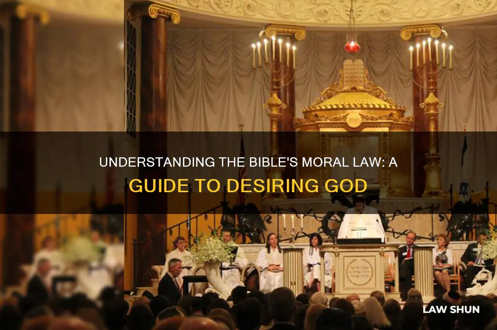 Understanding The Bible's Moral Law: A Guide To Desiring God | LawShun
