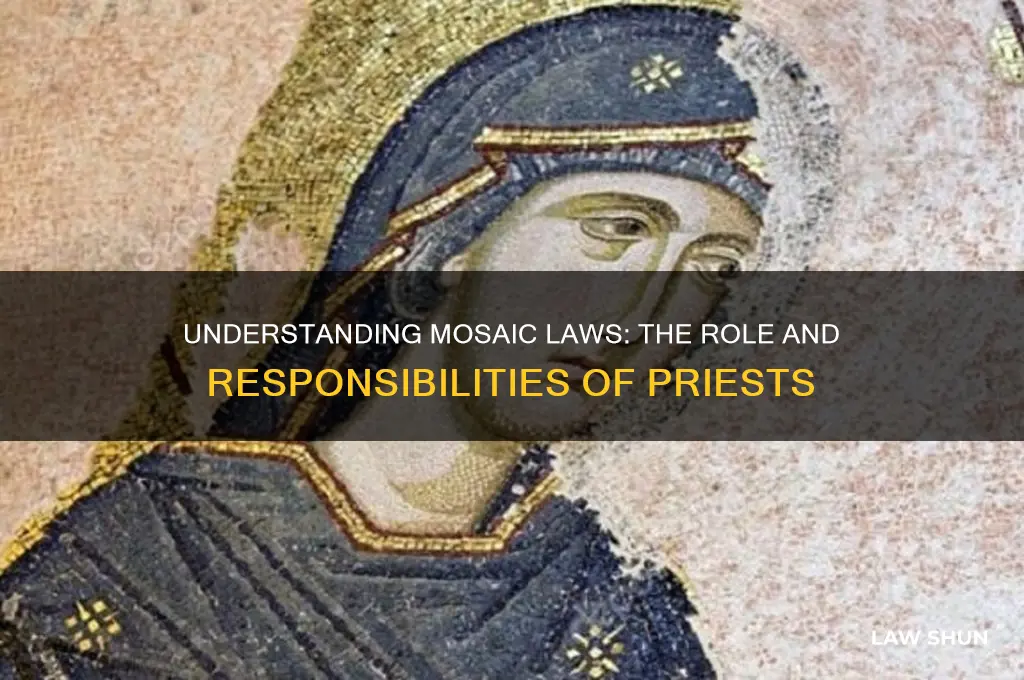 Understanding Mosaic Laws: The Role And Responsibilities Of Priests ...