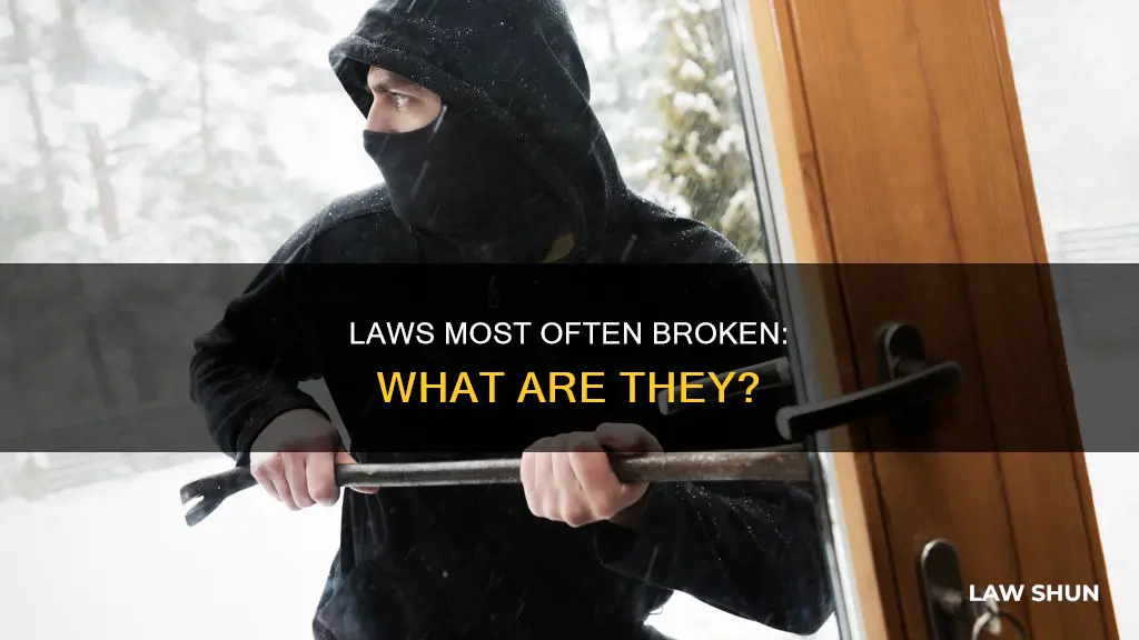 Laws Most Often Broken: What Are They? | LawShun