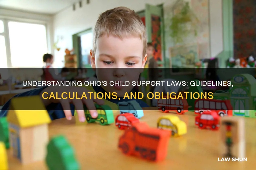 Understanding Ohio's Child Support Laws: Guidelines, Calculations, And ...