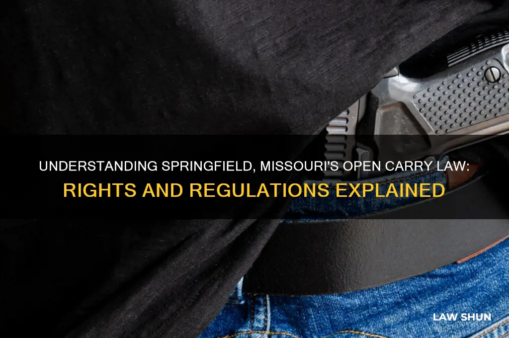 Understanding Springfield, Missouri's Open Carry Law: Rights And ...