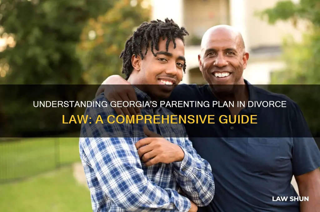 Understanding Georgia's Parenting Plan In Divorce Law: A Comprehensive ...