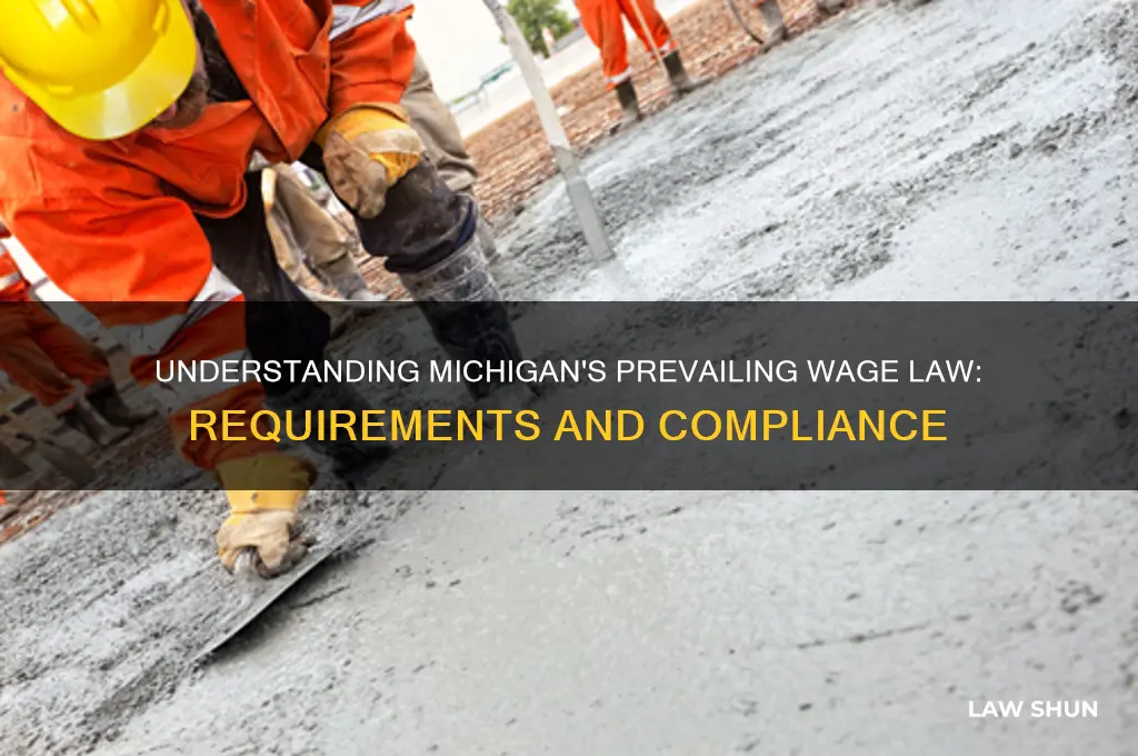 Understanding Michigan's Prevailing Wage Law: Requirements And ...