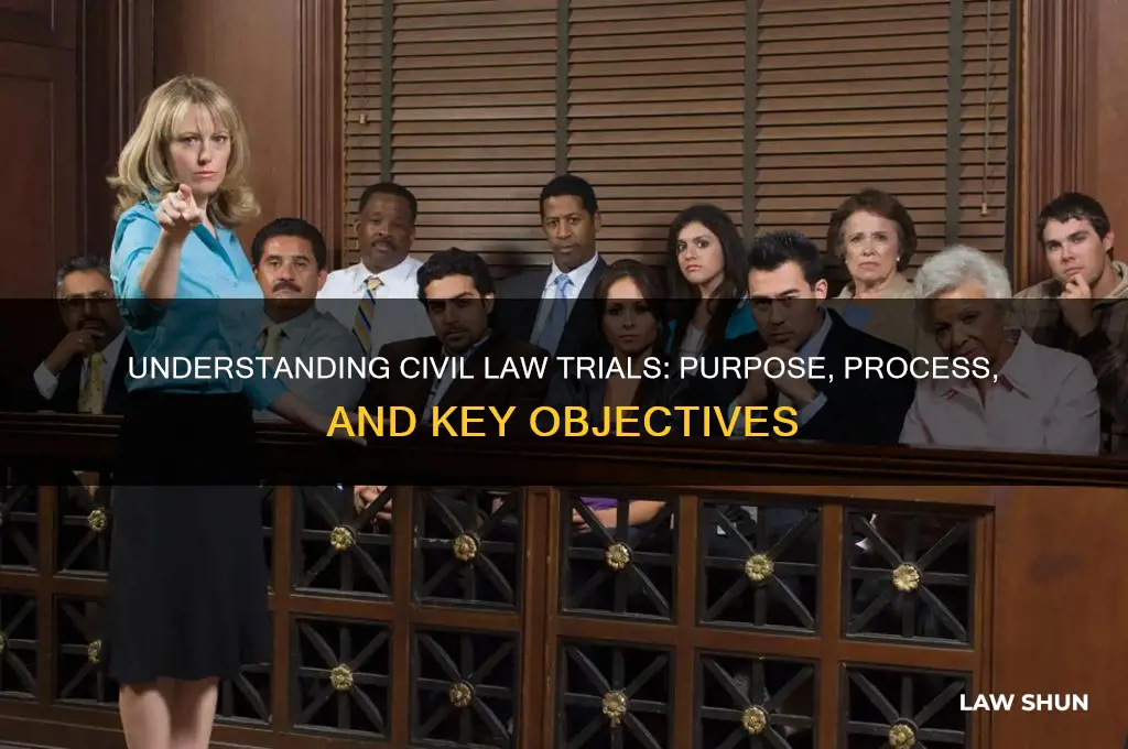 Understanding Civil Law Trials: Purpose, Process, And Key Objectives ...