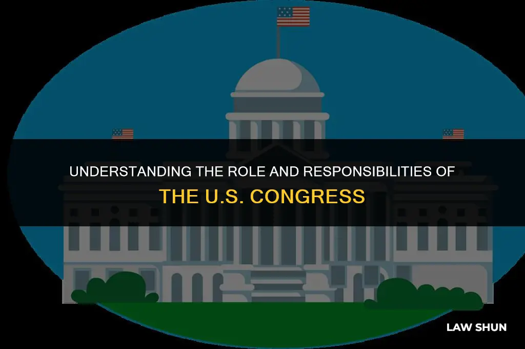 Understanding The Role And Responsibilities Of The U.S. Congress | LawShun