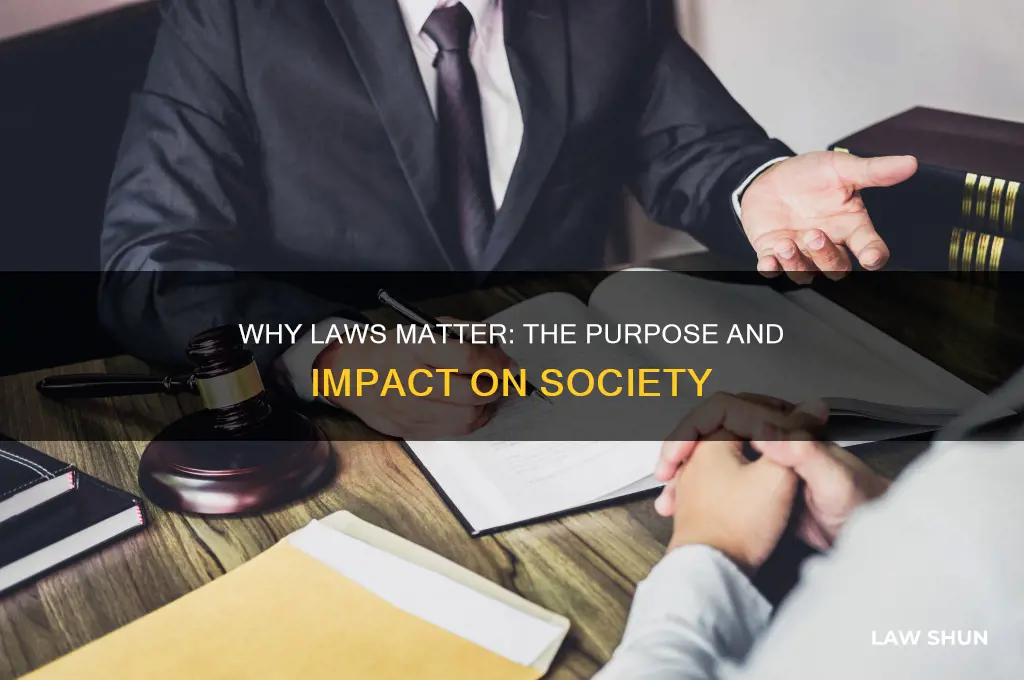 Why Laws Matter: The Purpose And Impact On Society | LawShun
