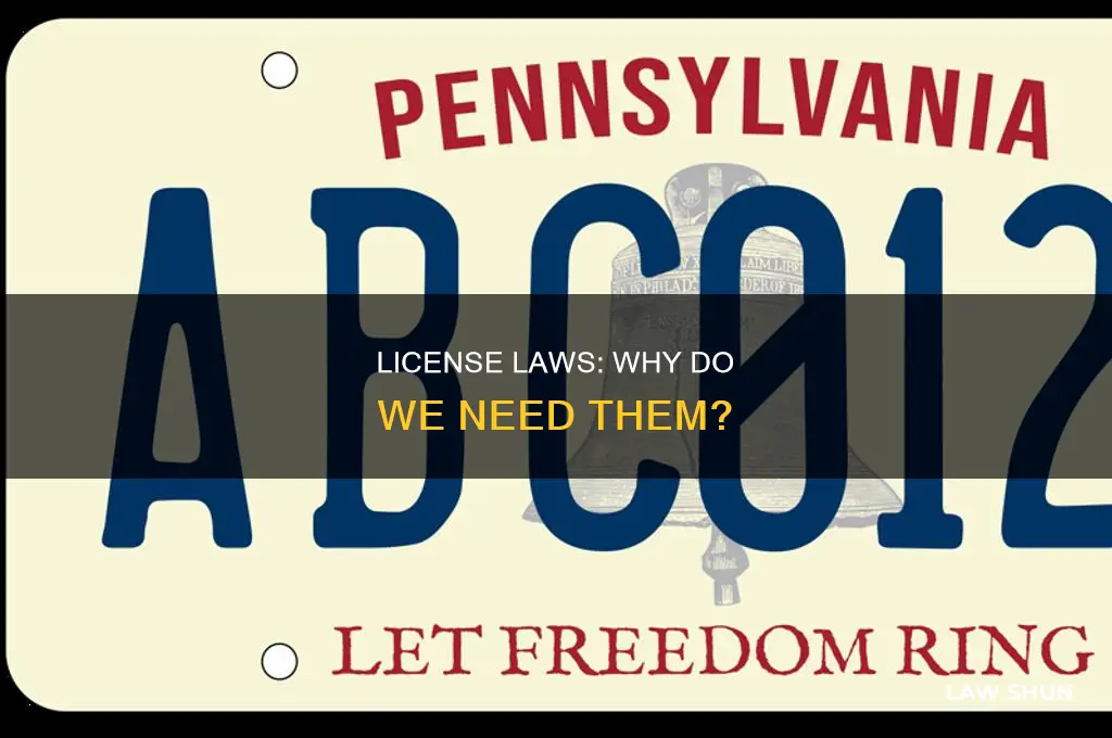 License Laws: Why Do We Need Them? | LawShun