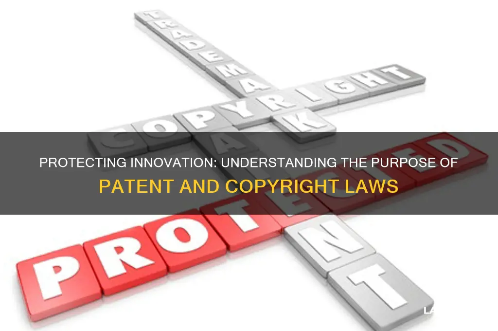 Protecting Innovation: Understanding The Purpose Of Patent And ...