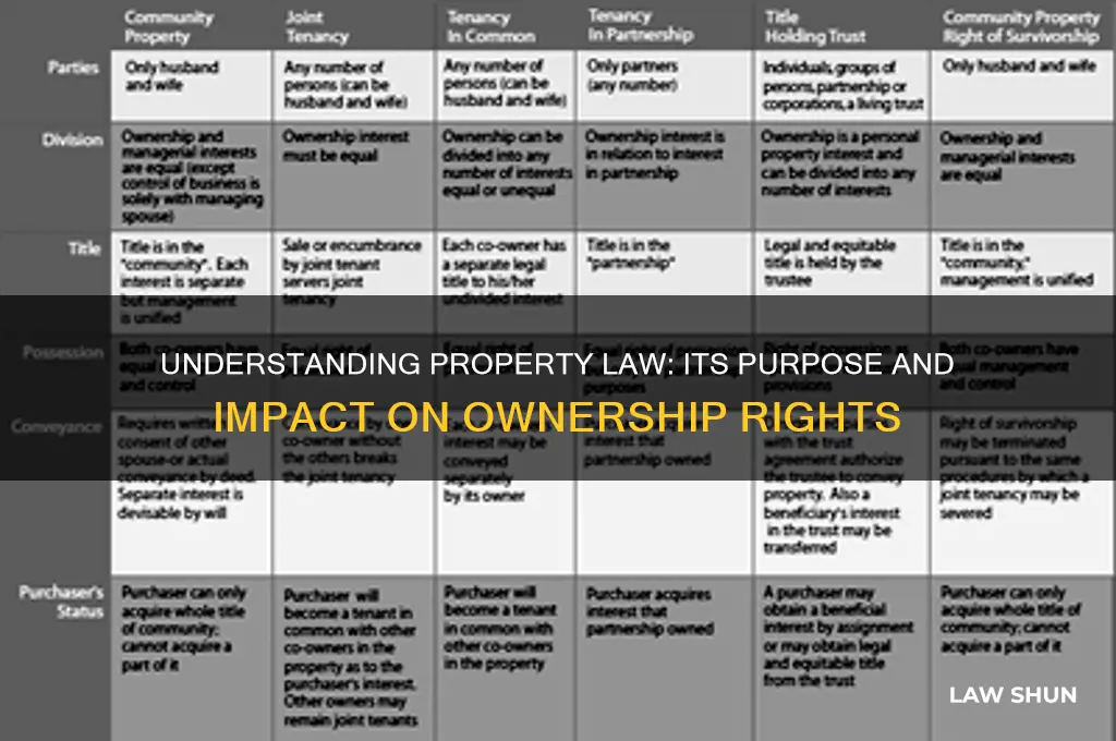 Understanding Property Law: Its Purpose And Impact On Ownership Rights ...