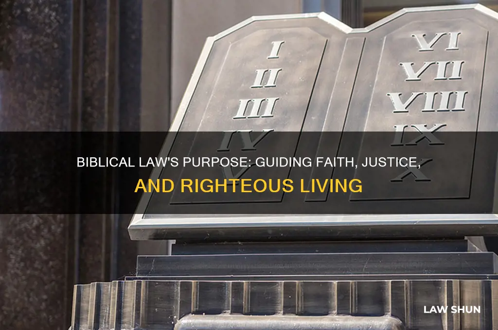 Biblical Law's Purpose: Guiding Faith, Justice, And Righteous Living ...