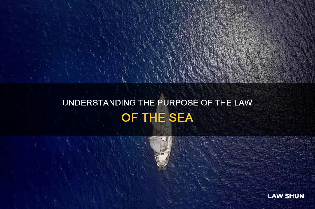 Understanding The Purpose Of The Law Of The Sea | LawShun