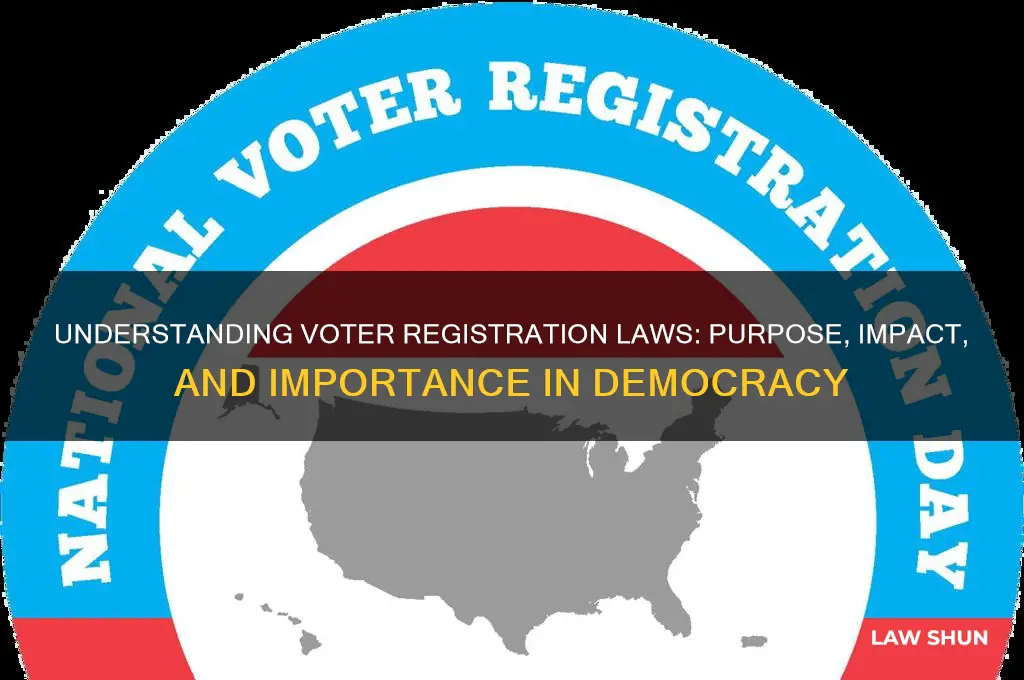 Understanding Voter Registration Laws: Purpose, Impact, And Importance ...