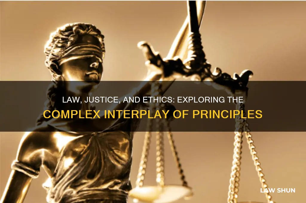 Law, Justice, And Ethics: Exploring The Complex Interplay Of Principles ...