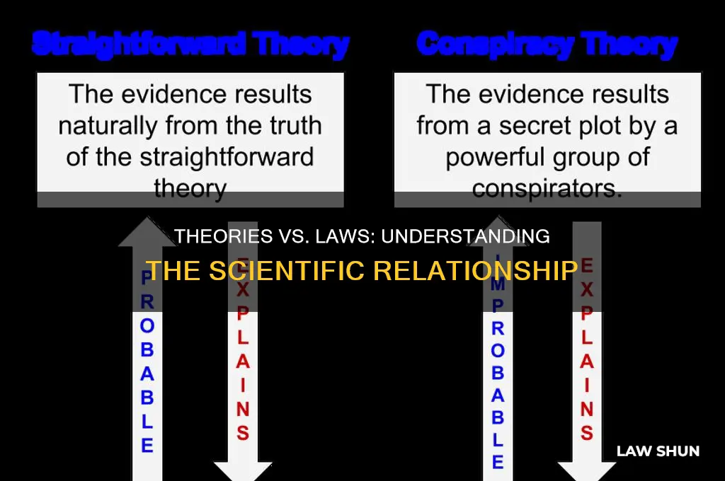 Theories Vs. Laws: Understanding The Scientific Relationship | LawShun