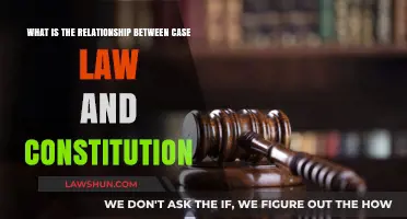 Case Law Vs Statute Law: Understanding The Distinction | LawShun