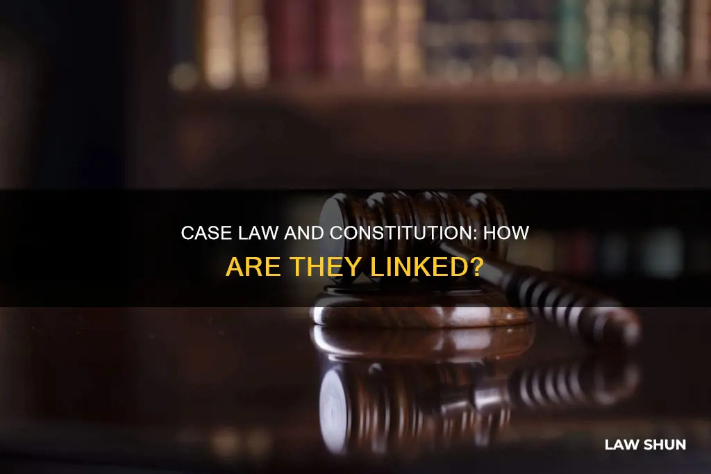 Case Law And Constitution: How Are They Linked? | LawShun