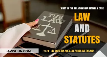 Case Law Vs Statute Law: Understanding The Distinction | LawShun