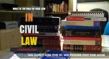 Lawsuits: Understanding The Different Types Of Legal Cases | LawShun