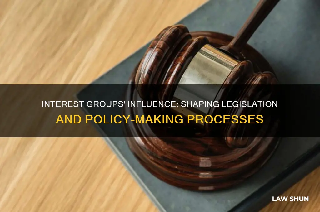 Interest Groups' Influence: Shaping Legislation And Policy-Making ...