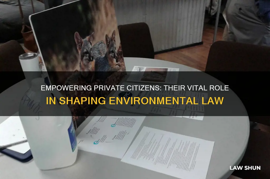Empowering Private Citizens: Their Vital Role In Shaping Environmental ...