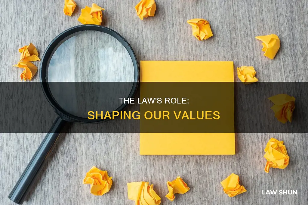 The Law's Role: Shaping Our Values | LawShun