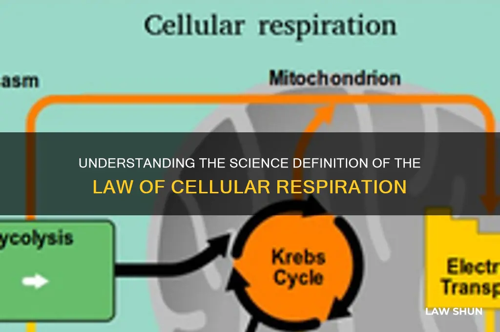 Understanding The Science Definition Of The Law Of Cellular Respiration ...