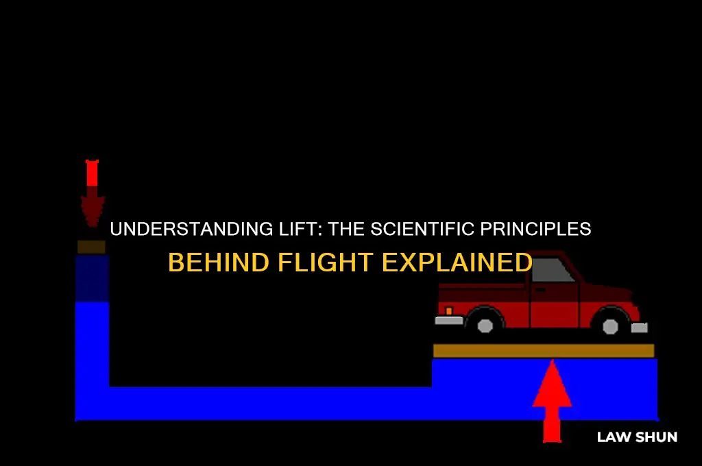 Understanding Lift: The Scientific Principles Behind Flight Explained ...