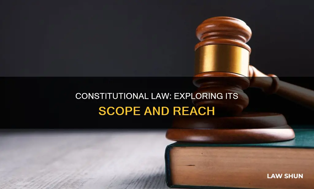 Constitutional Law: Exploring Its Scope And Reach | LawShun