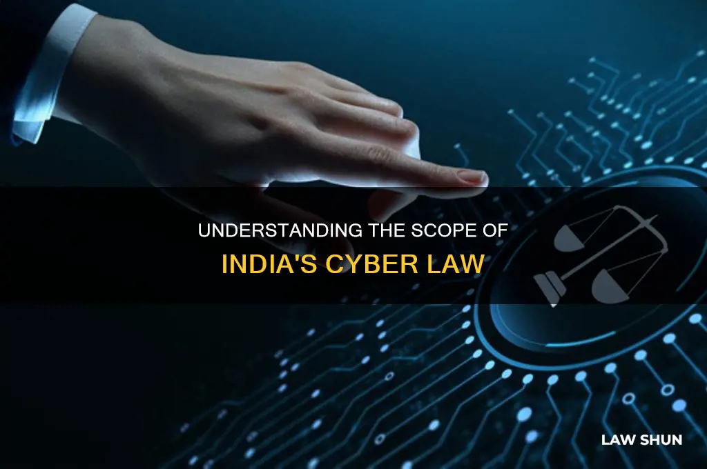 Understanding The Scope Of India's Cyber Law | LawShun