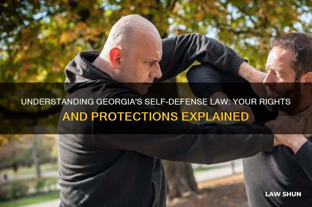 Understanding Georgia's Self-Defense Law: Your Rights And Protections ...