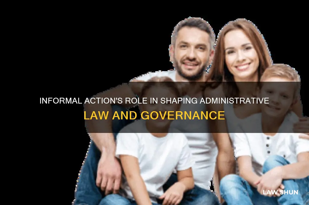 Informal Action's Role In Shaping Administrative Law And Governance ...