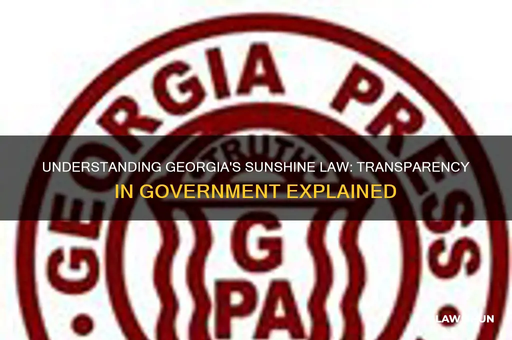 Understanding Georgia's Sunshine Law: Transparency In Government ...