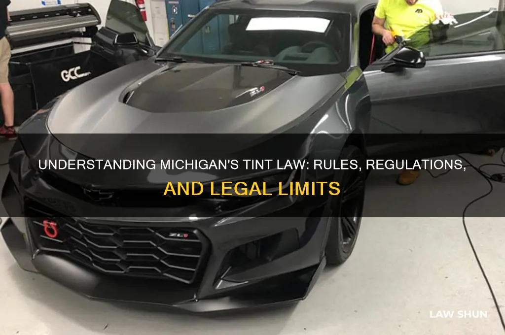 Understanding Michigan's Tint Law: Rules, Regulations, And Legal Limits ...