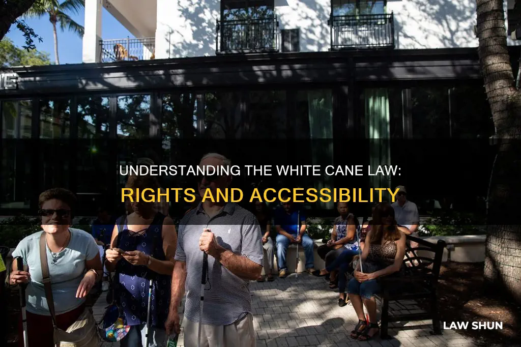 Understanding The White Cane Law: Rights And Accessibility | LawShun