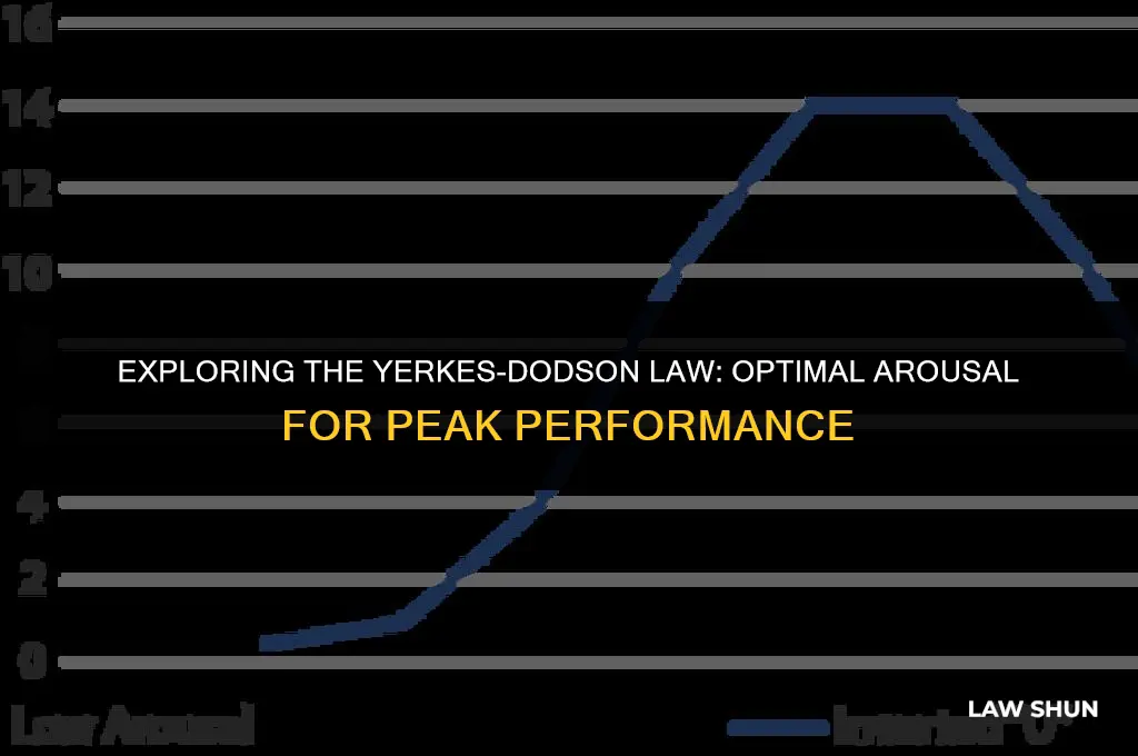 Exploring The Yerkes-Dodson Law: Optimal Arousal For Peak Performance ...