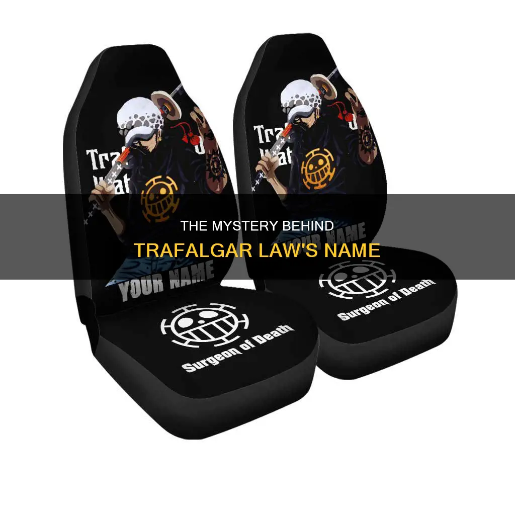 The Mystery Behind Trafalgar Law's Name | LawShun