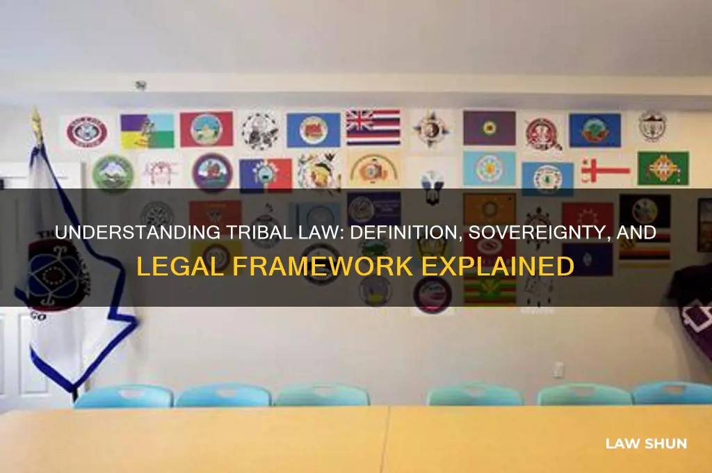 Understanding Tribal Law: Definition, Sovereignty, And Legal Framework ...