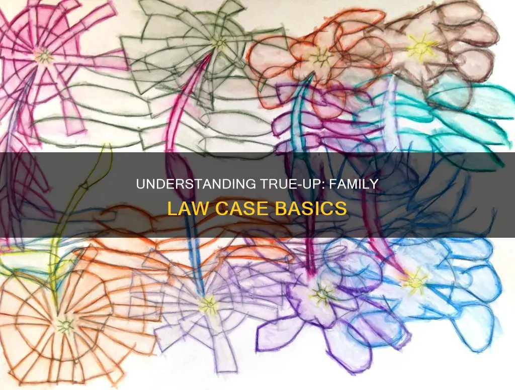 Understanding True-Up: Family Law Case Basics | LawShun