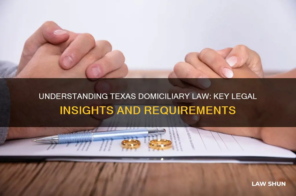 Understanding Texas Domiciliary Law: Key Legal Insights And ...