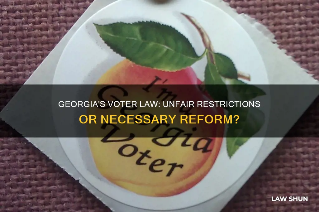 Georgia's Voter Law: Unfair Restrictions Or Necessary Reform? | LawShun